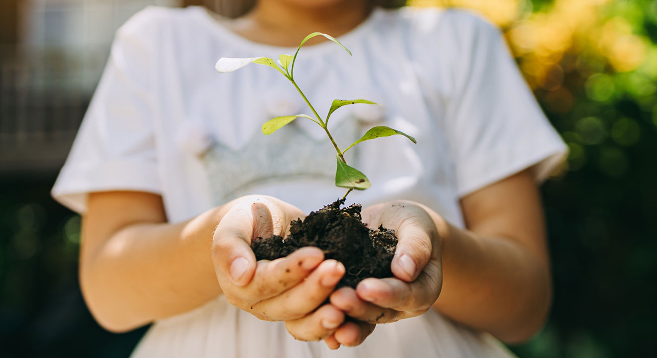 SMUD helps plant trees at Larchmont Park in North Highlands – Rio Linda ...